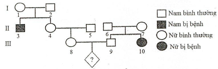 [LỜI GIẢI] Sơ đồ phả hệ sau đây mô tả sự di truyền của một bệnh ở người ...
