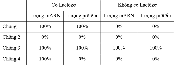 Bảng 1 mô tả hàm lượng mARN và prôtêin tương đối của gen Y thuộc operon Lac ở các chủng vi khuẩn ...