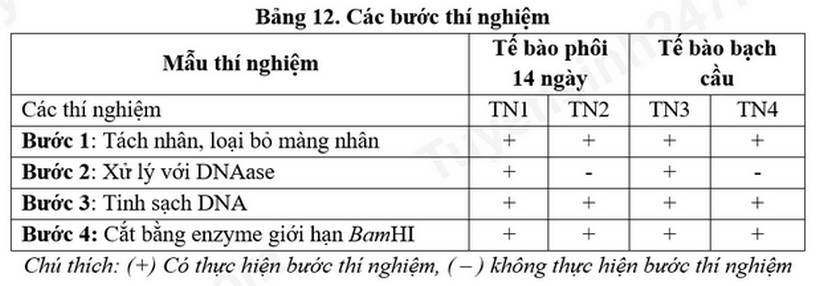 Ở gà, protein globin được tổng hợp ở phôi giai đoạn 14 ngày nhưng không được tổng hợp ở tế bào ...